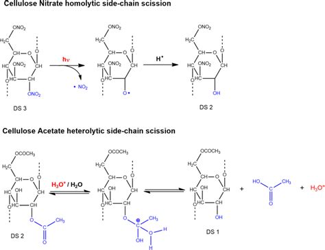 What Is Cellulose Nitrate At Shannon Mcelroy Blog
