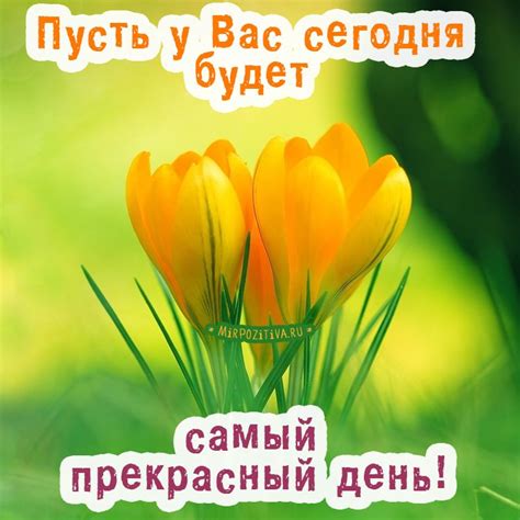 Пусть у Вас сегодня будет самый прекрасный день Открытки Милые открытки Мотивационные картинки