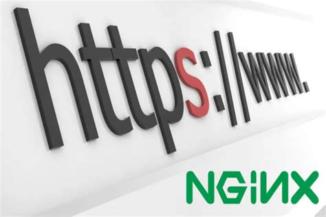 Hướng Dẫn Cài đặt Chứng Chỉ Ssl Trên Nginx Thetavn