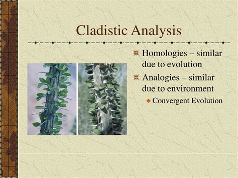 Ppt Taxonomy Powerpoint Presentation Free Download Id 2976325