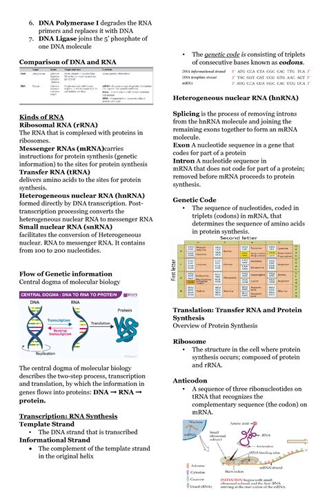 Solution Biochemistry Studypool