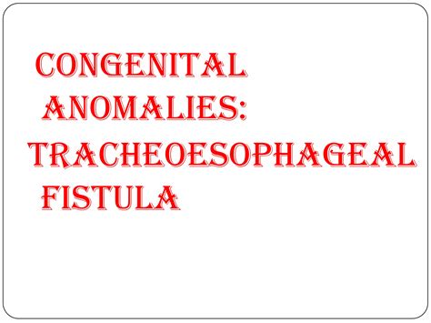 Anatomy Of Tracheobronchial Tree Pptx