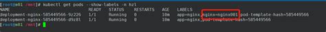 kubernetes（k8s）label标签的使用及service代理模式 kubernetes service label csdn博客
