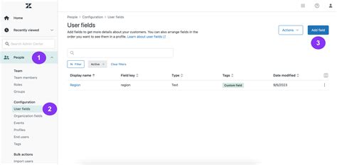 Do A Zendesk Data Dip