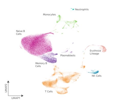 Titration Of Known Clonotype Showcases Evercode Bcr Sensitivity Parse