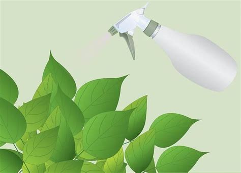 美國農民自製有機農藥的七個方法 每日頭條