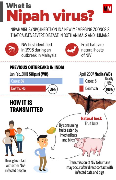 Nipah Virus In Kerala ~ India Gk Current Affairs 2023