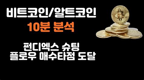 비트코인 전망 펀디엑스 플로우 알트코인 전망 Youtube