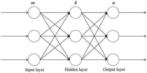 Topological Structure Of Three Layer Bp Neural Network Download Scientific Diagram