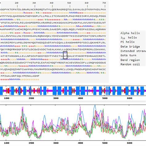 Secondary Structure Model Predicted For Mutant Sequence By The Sopma