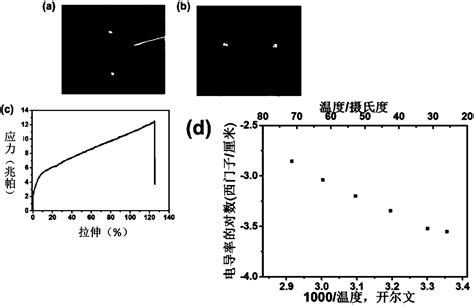 Perfluoro Sodium Polymer Electrolyte Preparation Method And