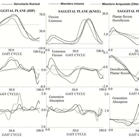 Angular And Kinetic Models For The Standard Subjects Intact And Download Scientific Diagram