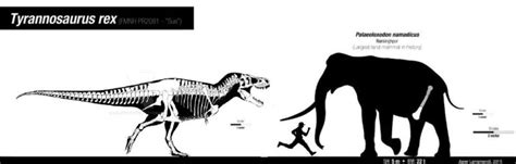 Rematch Tyrannosaurus Rex Vs Palaeoloxodon Namadicus Fandom
