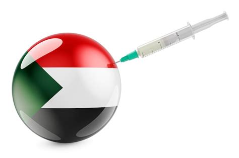 Premium Photo Syringe With Sudanese Flag Vaccination In Sudan Concept 3d Rendering