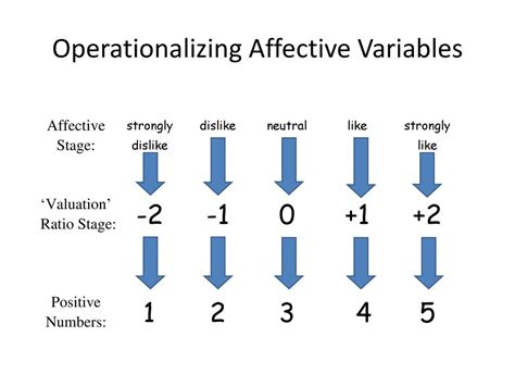David Ockert Toyo University Ppt Download