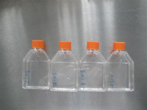 滑膜细胞原代培养（威斯腾生物 中关村生物医学研发检测共享平台！）价格 详情介绍 960化工网 960化工网