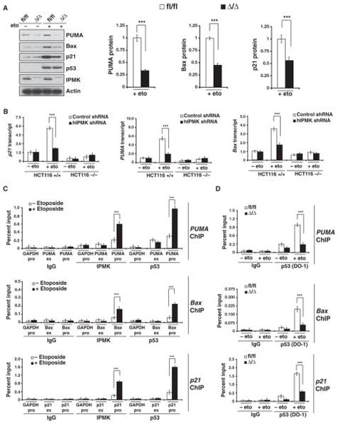 Inositol Polyphosphate Multikinase Is A Coactivator Of P53 Mediated Transcription And Cell Death
