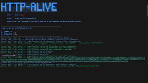 Herramienta De Análisis De Url Para Pruebas De Penetración De