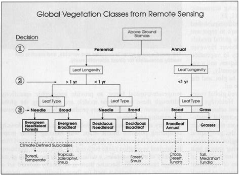 1 A Flowchart Of Our Global Vegetation Classification Logic Each Download Scientific Diagram