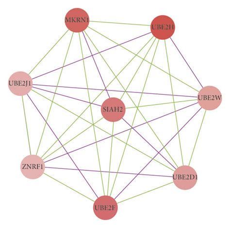 Hub Genes Extracted By Mcode Plugin From The Ppi Network Mcode