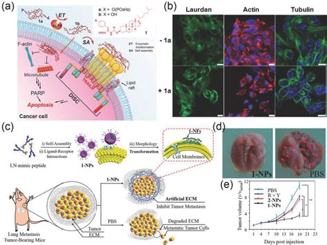 A Schematic Of The Enzyme‐instructed Self‐assembly Of The Download Scientific Diagram