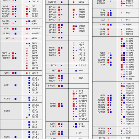Signaling Network Between Tumor Cells And Tumor Associated Macrophages