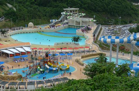 하이원 워터월드 지역주민 할인 폭 논란