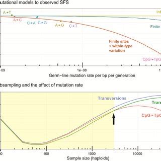 All Panels Exhibit The Unfolded SFS I E Constructed Using The Download Scientific Diagram