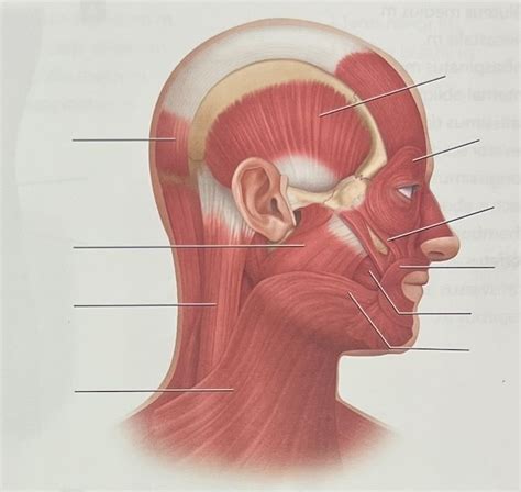 Unit Check Your Recall Diagram Quizlet