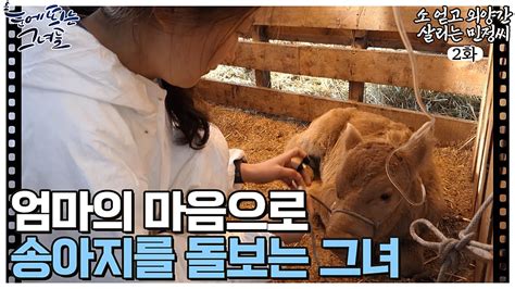 🐮내 자식처럼 송아지를 돌보는 마음예쁜 민정씨 L 소 얻고 외양간 살리는 민정씨 Ep2 1 네이버 Tv