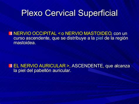 Anatomia Plexo Cervical Y Braquial Jorman Ppt