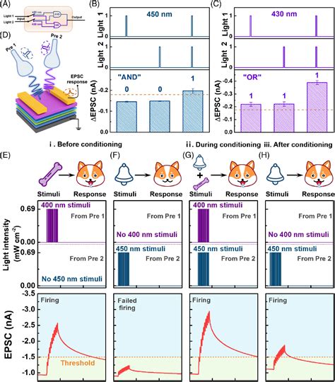 Figure 6 From Spectrum‐dependent Photonic Synapses Based On 2d Imine Polymers For Power