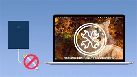 Fixing External Hard Drive Read Only On Mac Rene E Laboratory