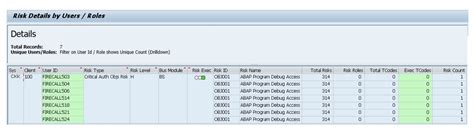 Effectively Using SAP SOD Analysis To Meet Audit Needs