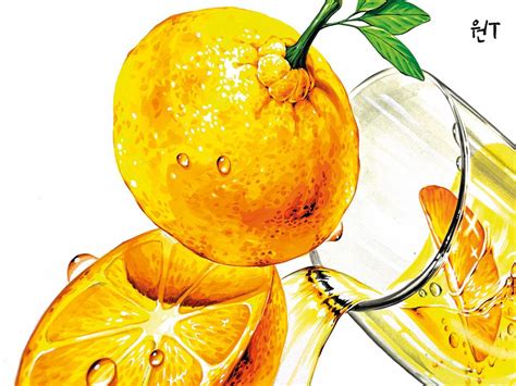 분당수내candc미술학원 한라봉와인잔 🍊🍷 기초디자인 개체묘사시범