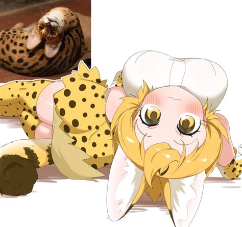 Chis Js60216 Serval Kemono Friends Kemono Friends Highres Photo Referenced 1girl