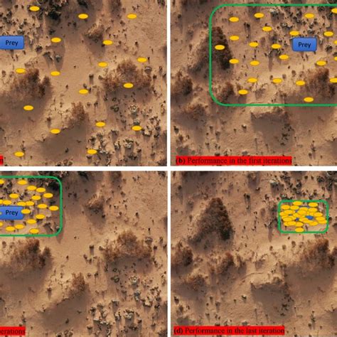 Pdf Sand Cat Swarm Optimization A Nature Inspired Algorithm To Solve Global Optimization Problems