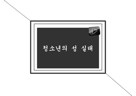 청소년 성교육 방안 청소년 성교육의 필요성과 학교 성교육의 문제점 및 사회적 문제점과 성교육 인터뷰 학교사회복지 방안 수정 다운 홍보 사회과학