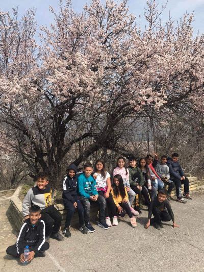 Галерия СУ Хаджи Мина Пашов Сливен