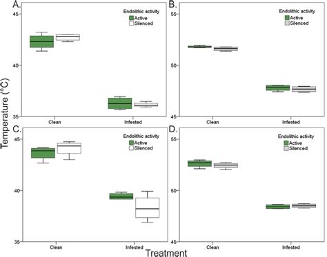 Effect Of Endolithic Photosynthetic Activity On Mussel Body Download Scientific Diagram