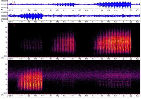 Waveform Upper Part And Spectrogram Lower Part Of Two Male Download Scientific Diagram