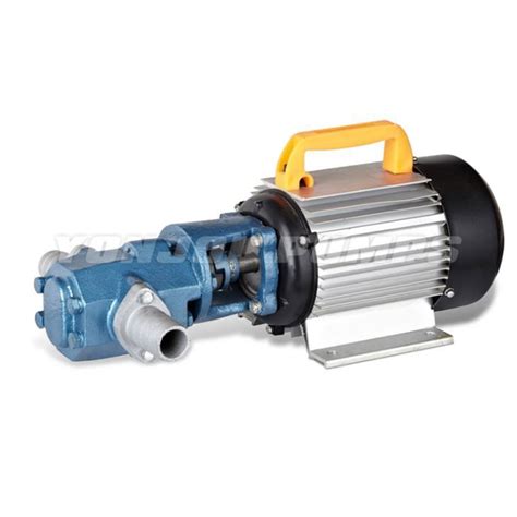 판매를위한 휴대용 기어 펌프 공장 가격 휴대용 오일 이송 펌프 제조업체 중국 휴대용 오일 펌프 공급 업체 Yonjou