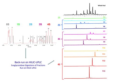 唾液酸化指南：ii 高度唾液酸化糖蛋白 启源（广东）医药化工有限公司