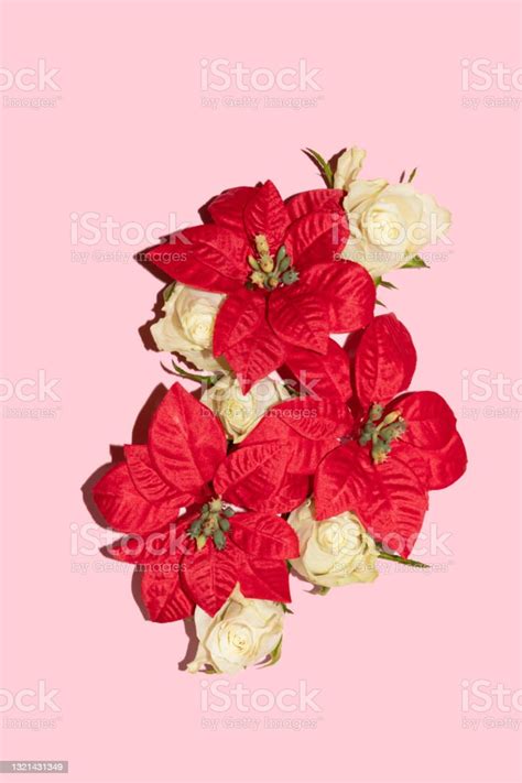 파스텔 핑크 배경에 빨간 포인세티아와 화이트 장미 크리스마스 구성 0명에 대한 스톡 사진 및 기타 이미지 0명 겨울 공휴일 Istock