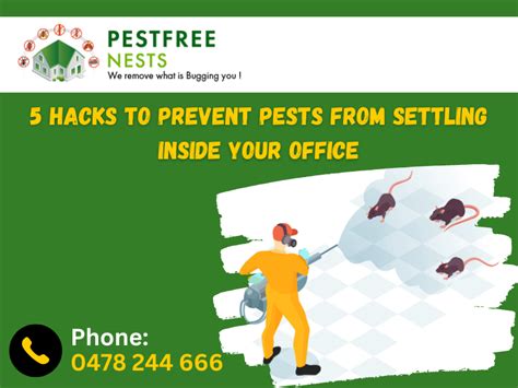Here Are Quick Tips To Keep Away Pests From Your Office