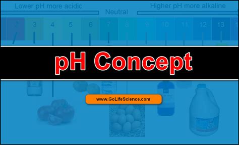 PH Concept What Are The Basics And Importance Of PH Concept