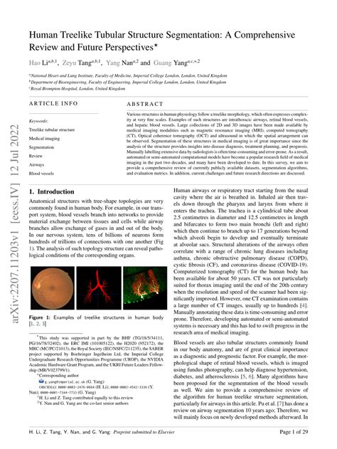 Pdf Human Treelike Tubular Structure Segmentation A Comprehensive