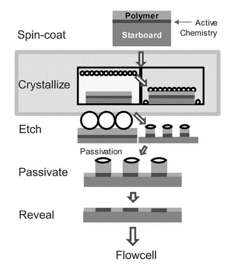 Pacific Bioscience S Onso Uses Patterned Flowcells