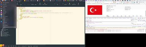 A Problem Displaying The Content Of RestCountries API Where The Error