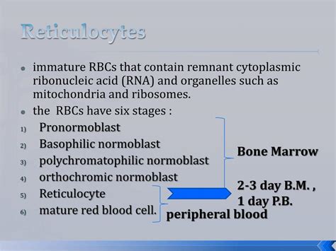 Ppt Reticulocyte Count Powerpoint Presentation Free Download Id 2760785